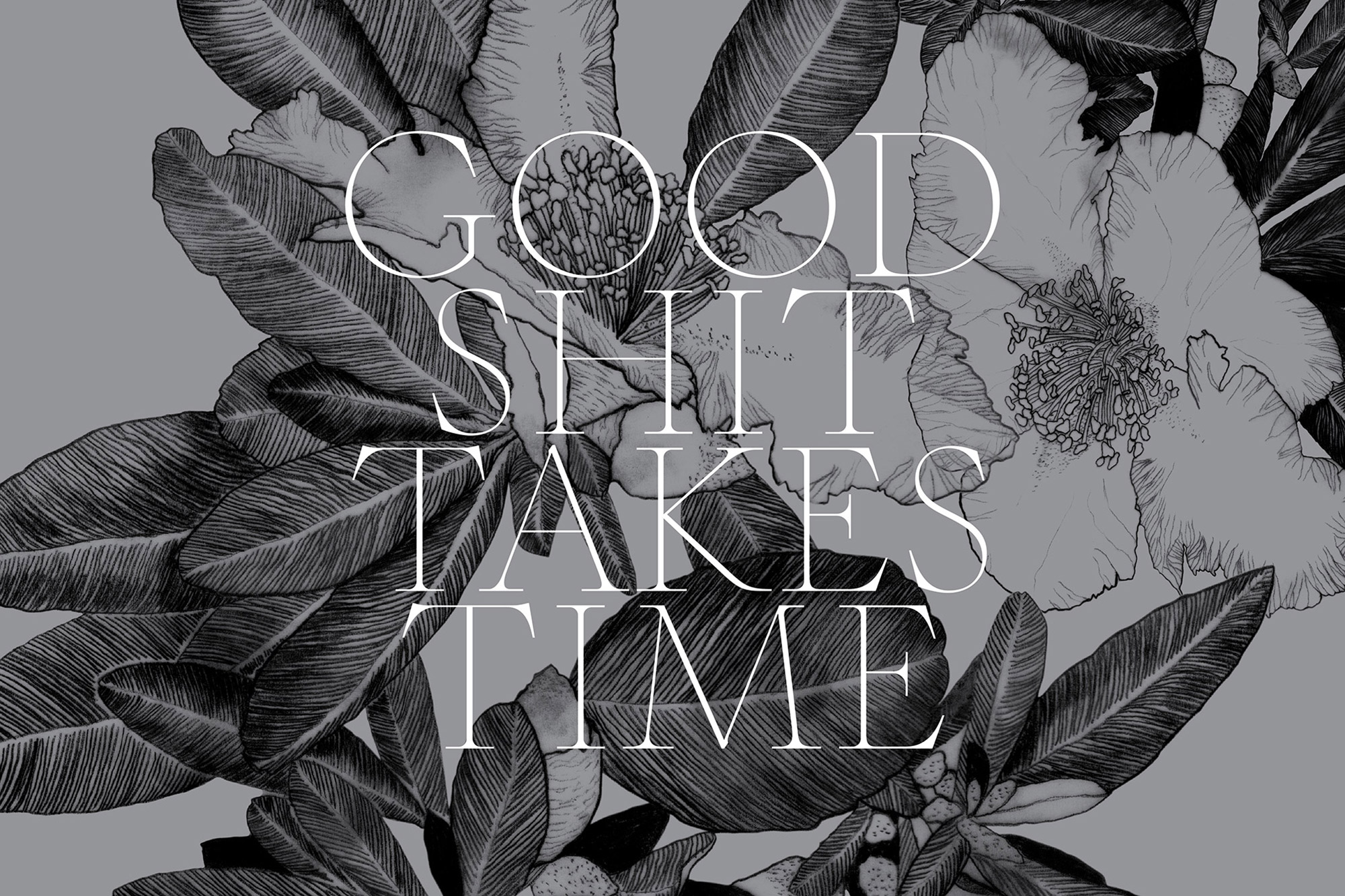 How to find your inner compass as a lettering artist | Alphabettes